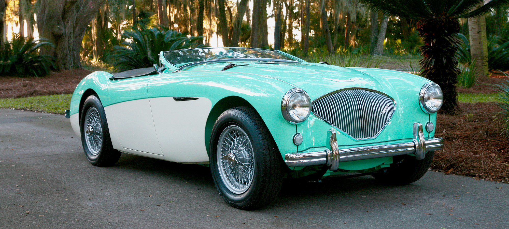 1956 Austin-Healey 100M - Austin-Healey Concours Registry
